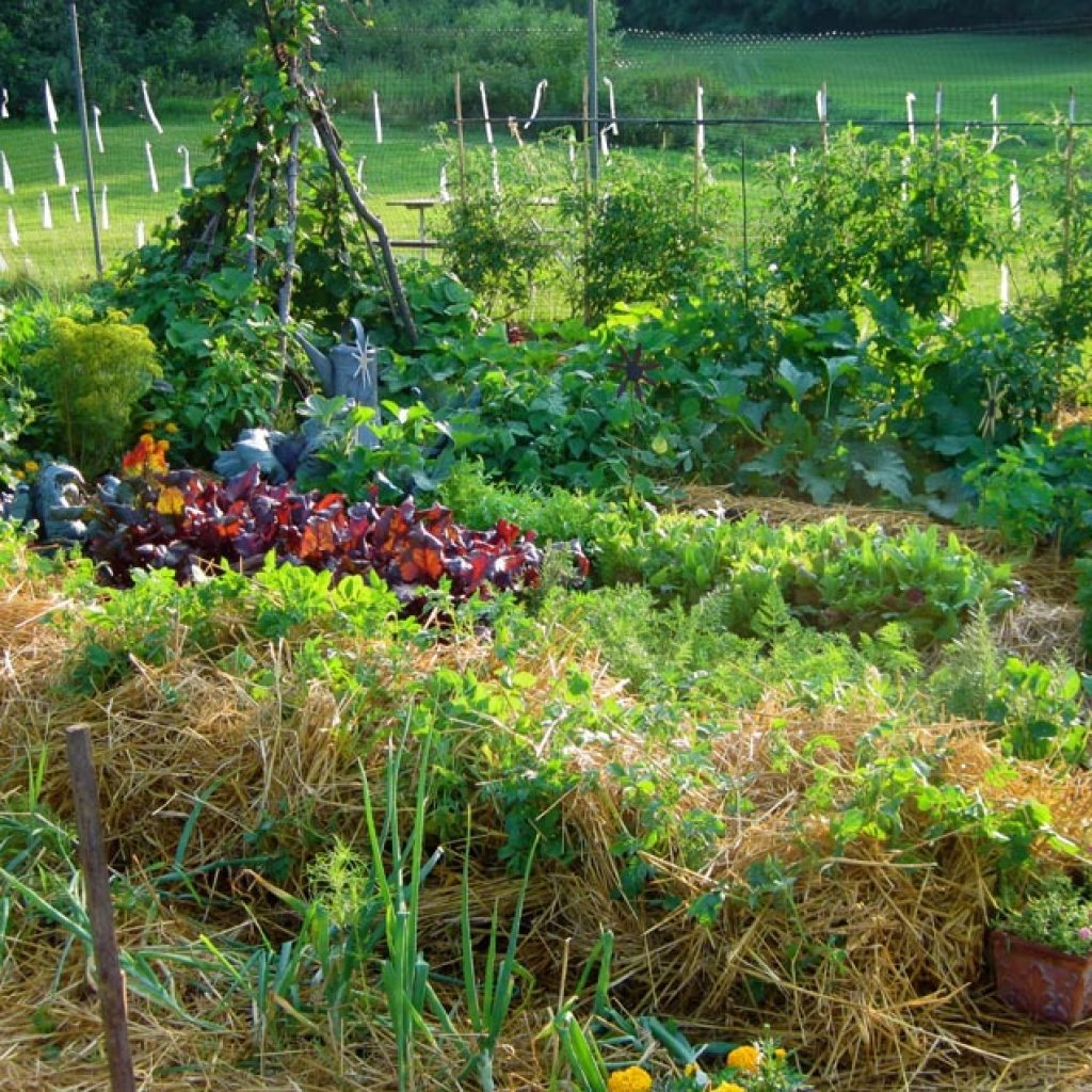 Community Garden – Brown County Parks & Rec